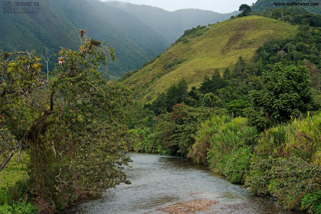 Ruta Oxapampa - Conservamos por Naturaleza