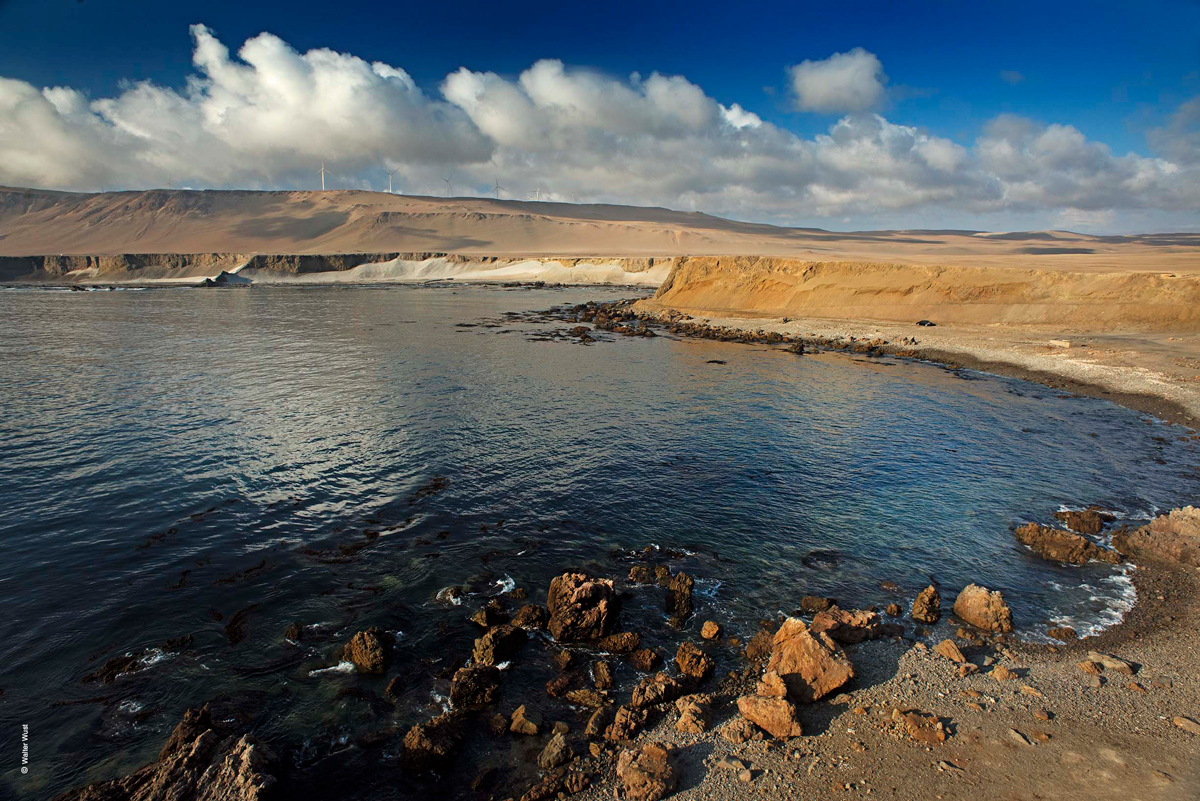 Explora: Marcona renace desde sus playas - Conservamos por Naturaleza
