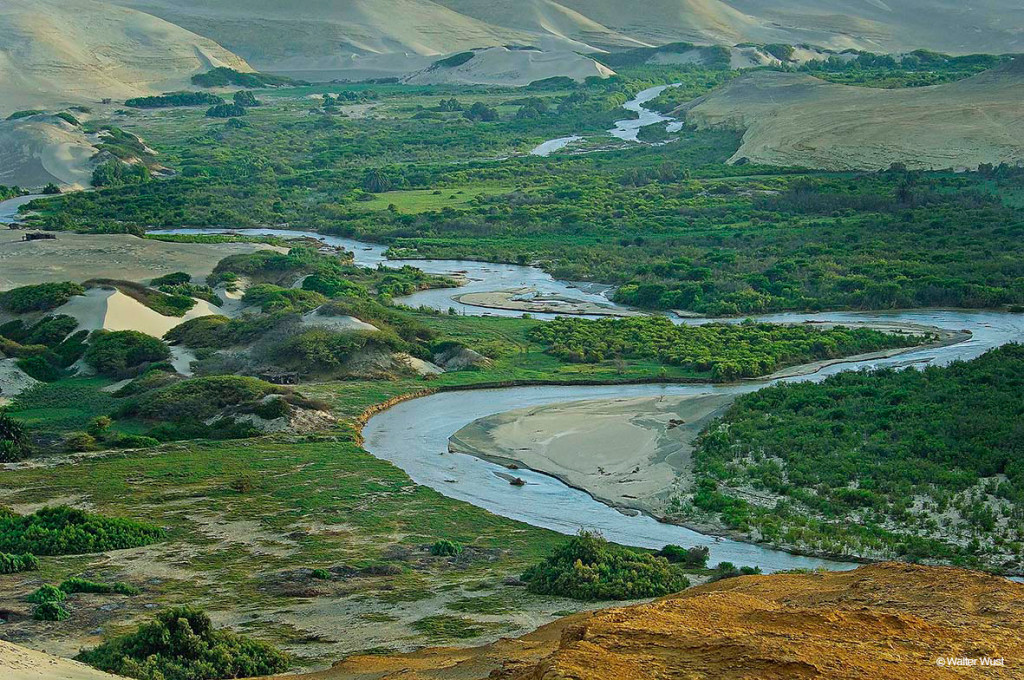 Bosques secos: una ecorregión que renace - Conservamos por Naturaleza