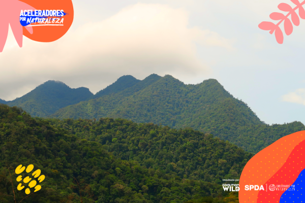 Reserva de biósfera de Oxapampa: rumbo a la sostenibilidad ...