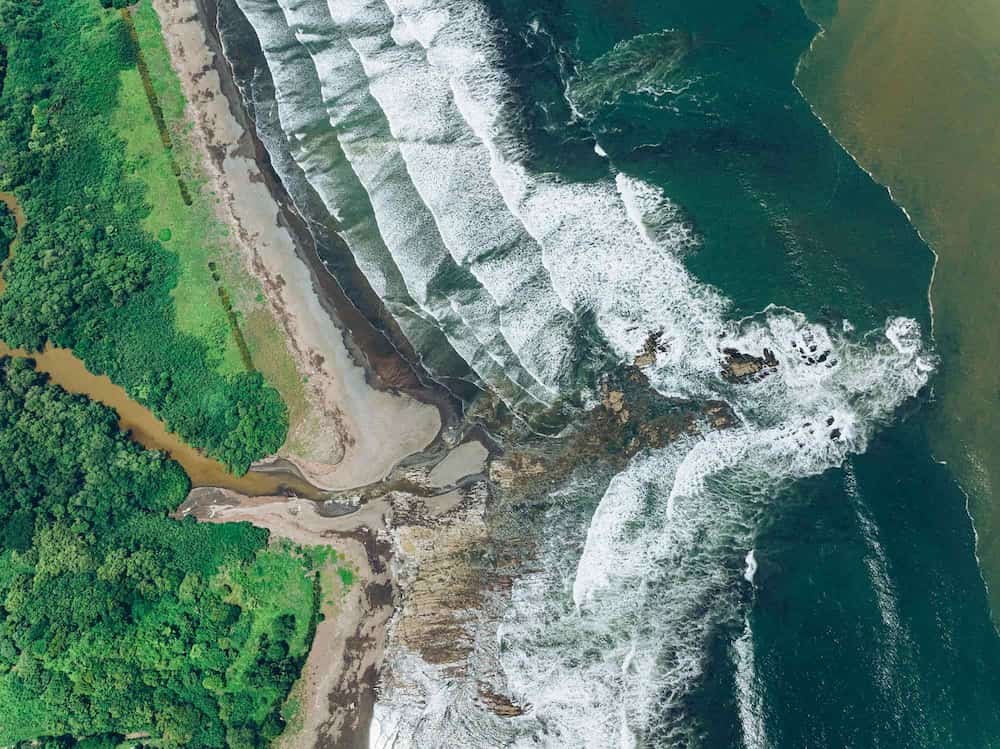 Lanzan “Lineamientos y buenas prácticas para la conservación de los ...